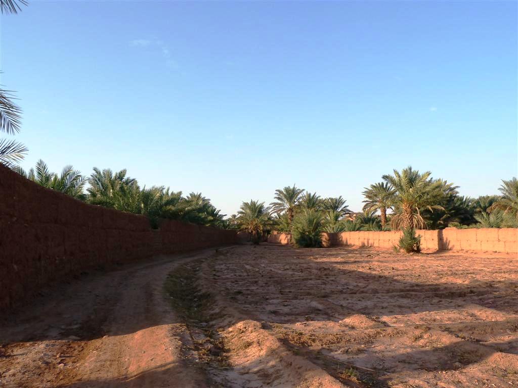 Zagora guide with information of what to do in Zagora