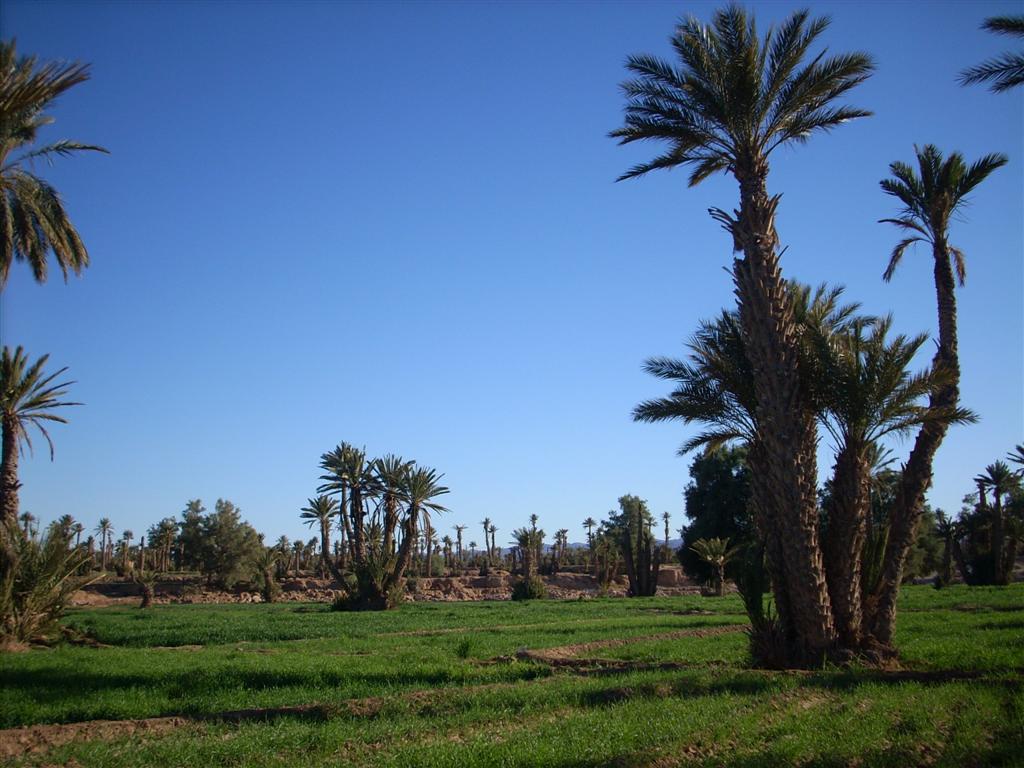 Guide of Erfoud with information what to do in Erfoud