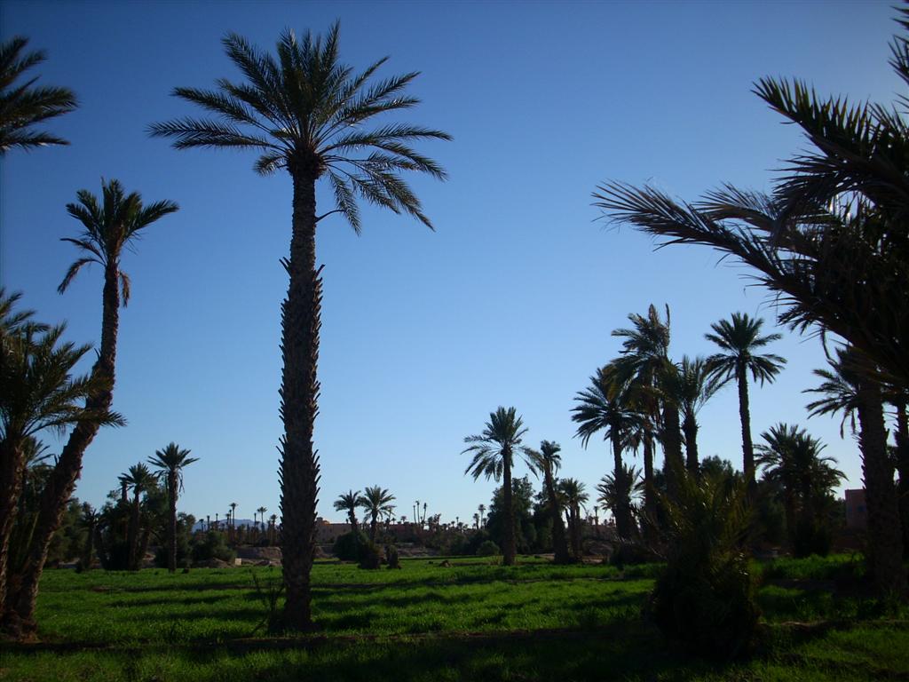 Guide of Erfoud with information what to do in Erfoud