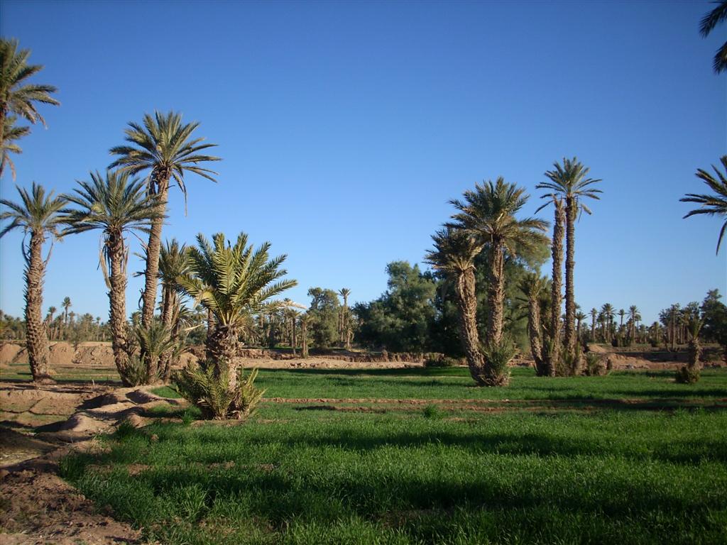 Guide of Erfoud with information what to do in Erfoud