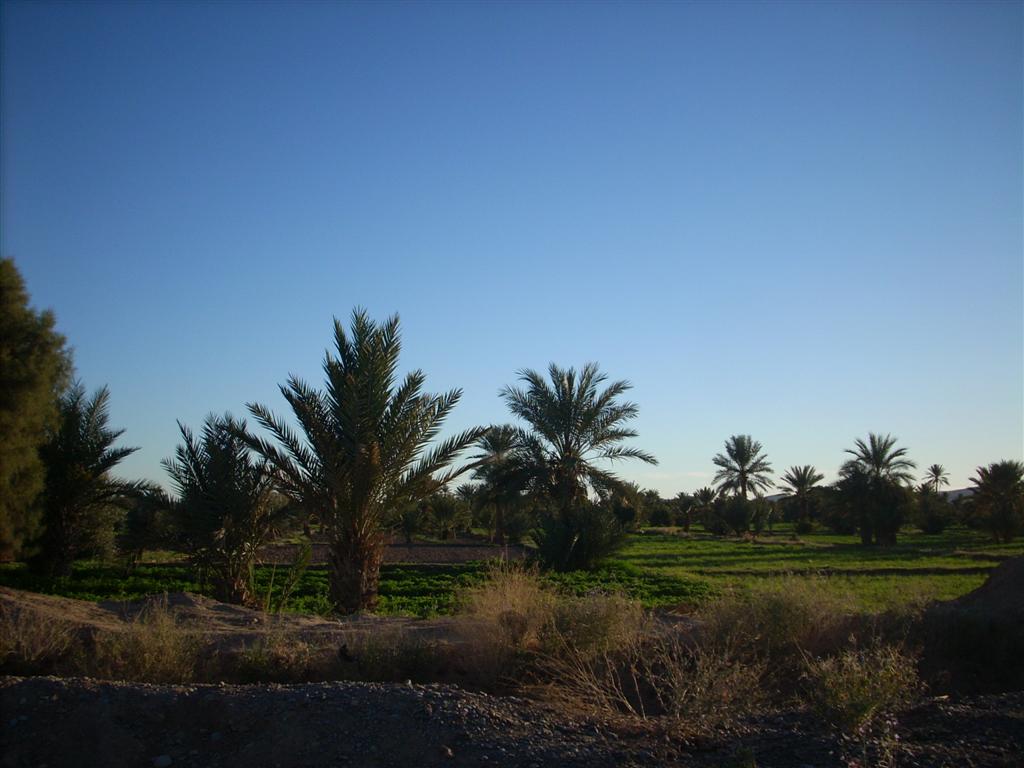 Guide of Erfoud with information what to do in Erfoud