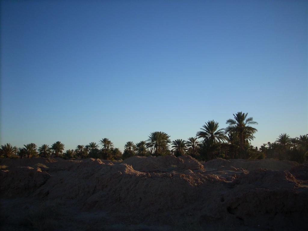 Guide of Erfoud with information what to do in Erfoud