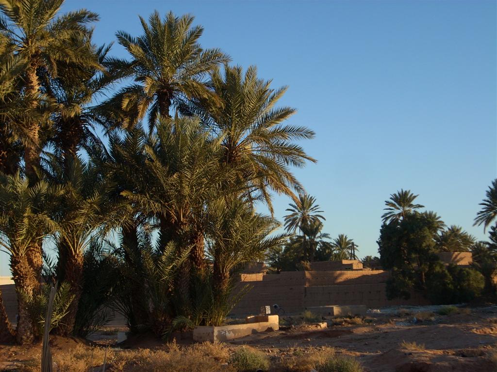 Guide of Erfoud with information what to do in Erfoud