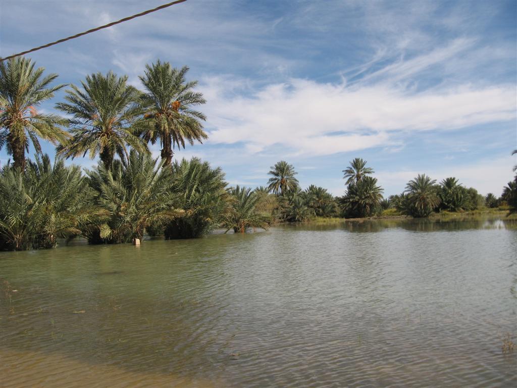 Guide of Erfoud with information what to do in Erfoud