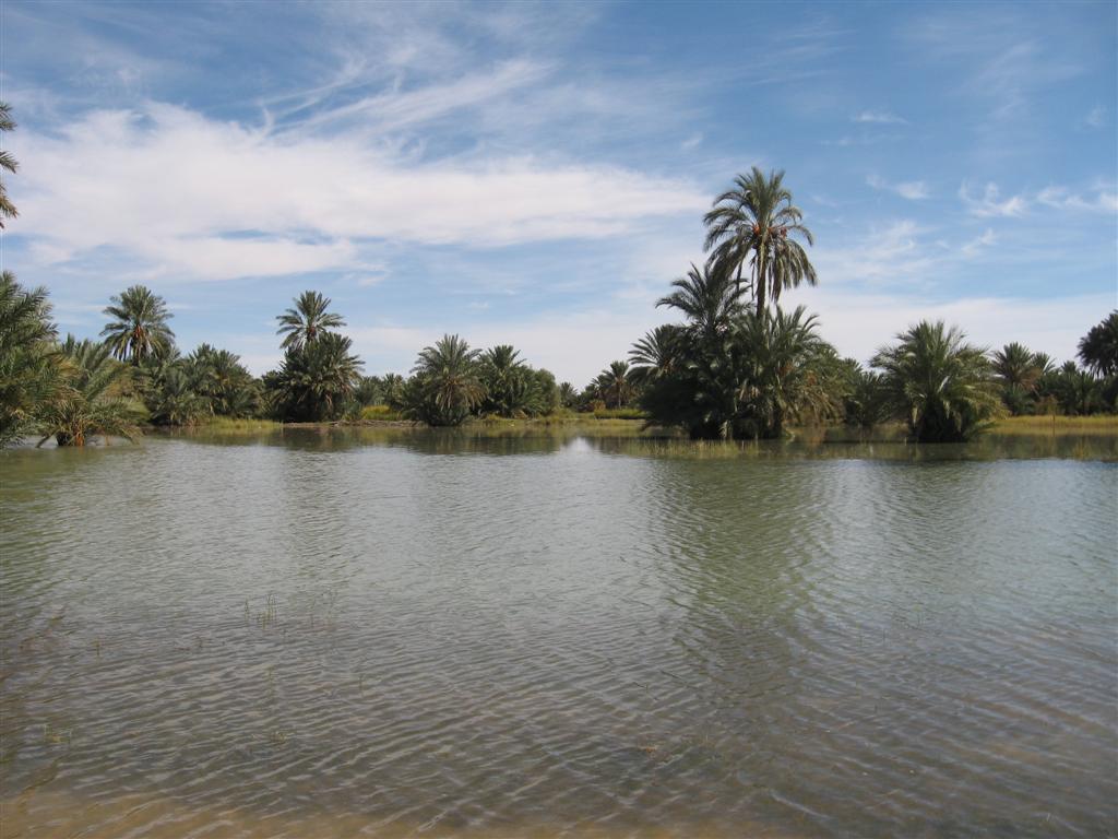 Guide of Erfoud with information what to do in Erfoud