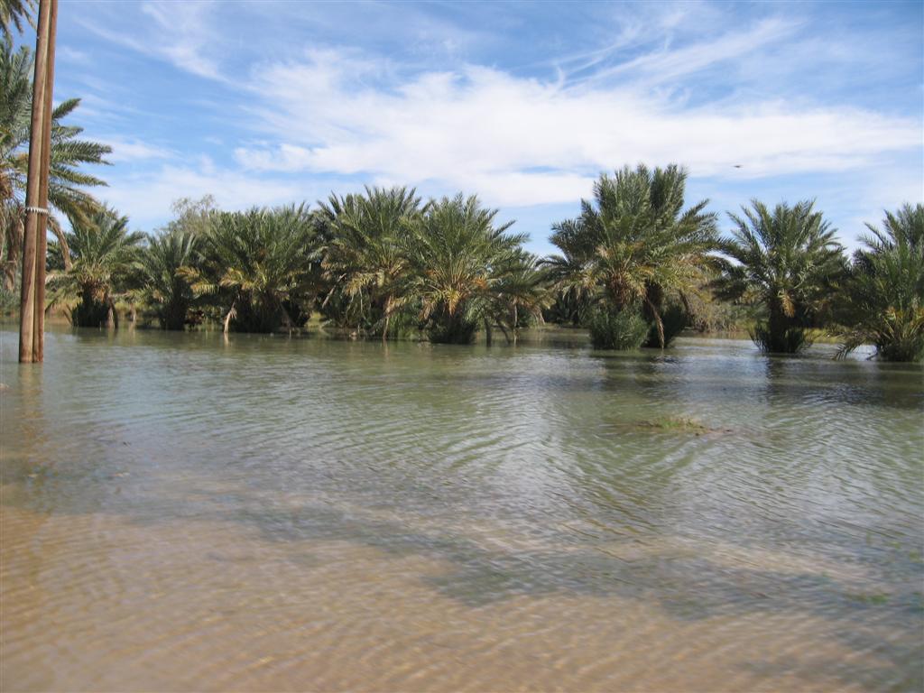 Guide of Erfoud with information what to do in Erfoud