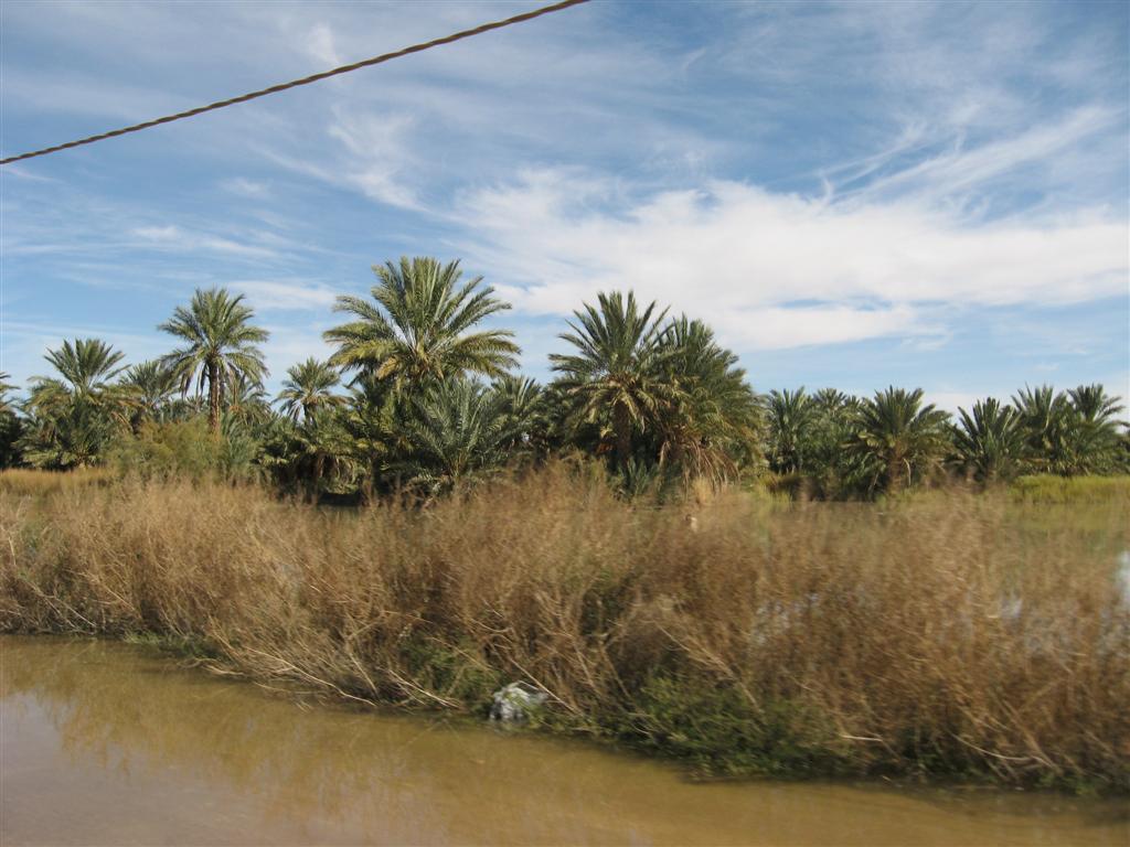 Guide of Erfoud with information what to do in Erfoud