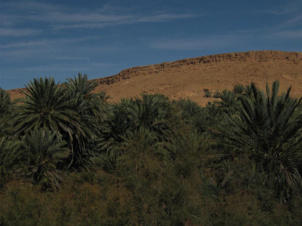 Guide of Erfoud with information what to do in Erfoud