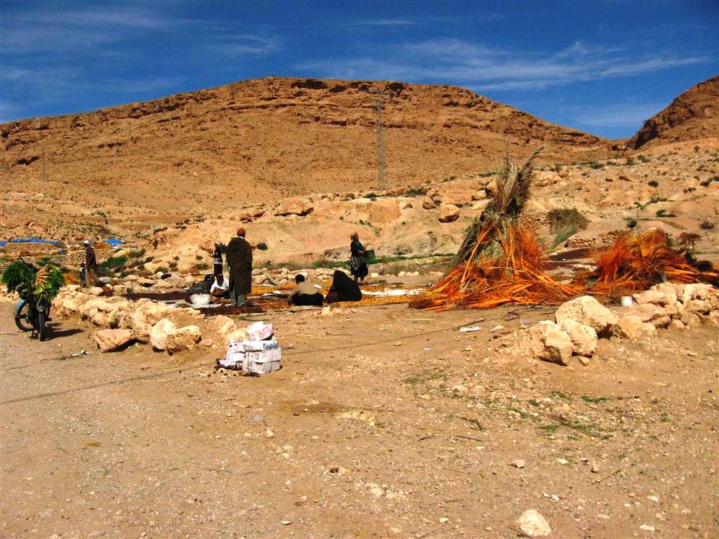 Guide of Erfoud with information what to do in Erfoud