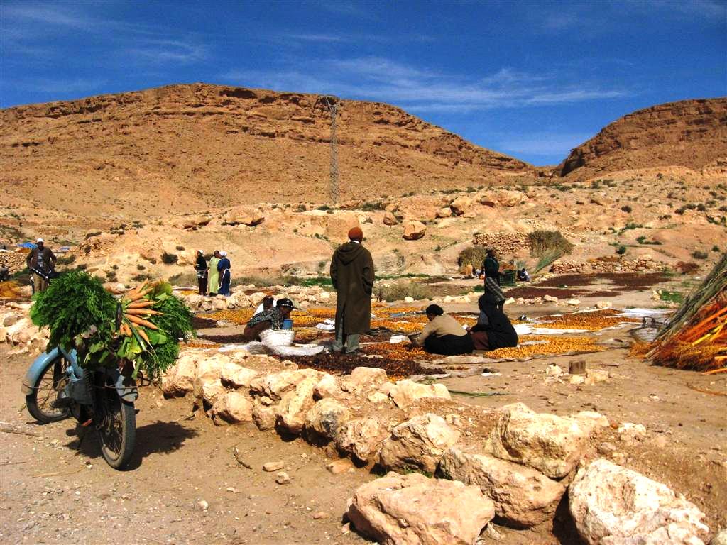 Guide of Erfoud with information what to do in Erfoud