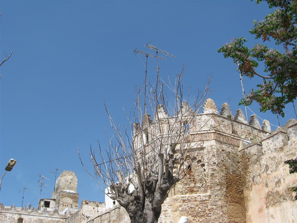 Day trip to Tetouan from Spain